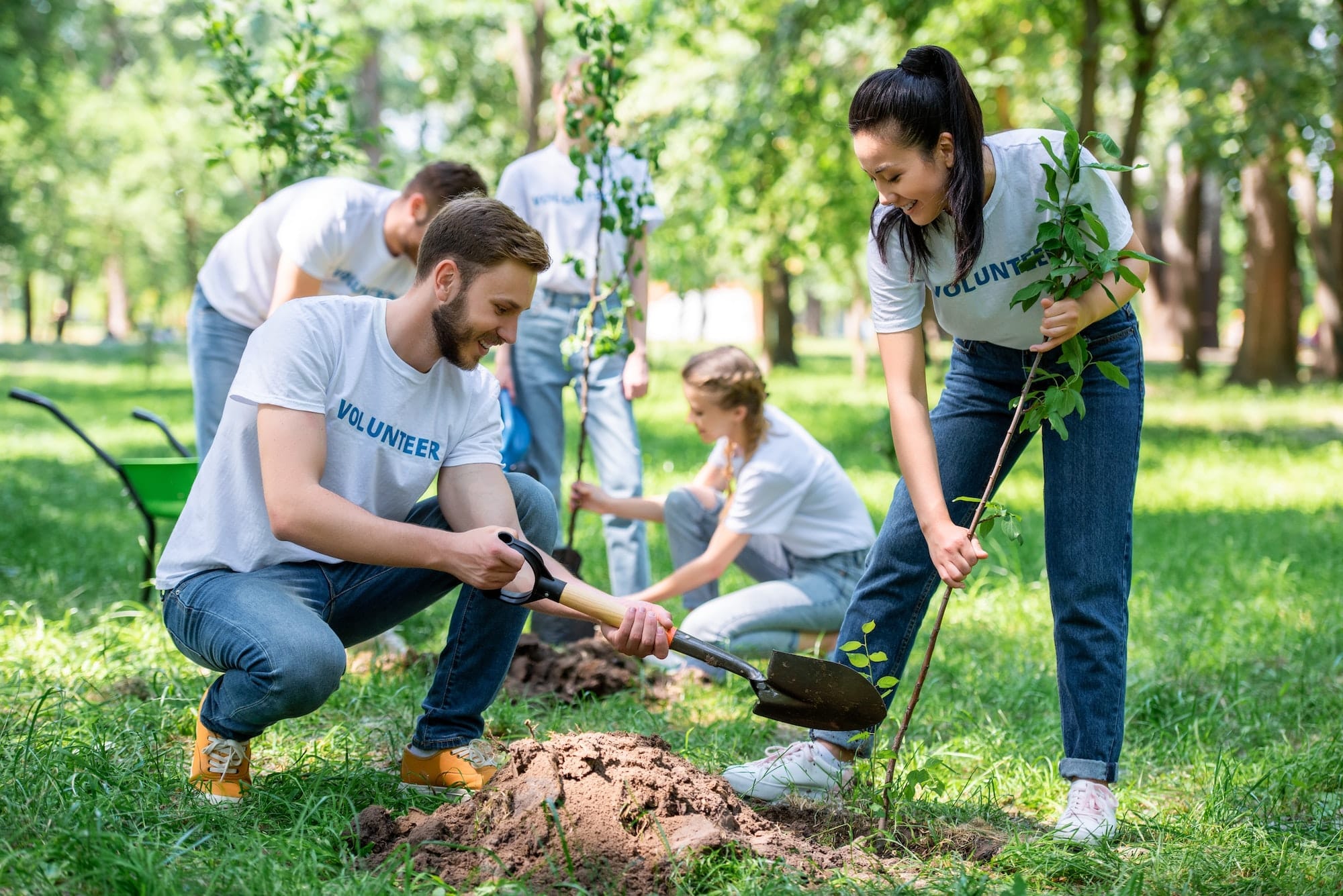Why Volunteering Can Enhance Your Professional Development | BornIncredible